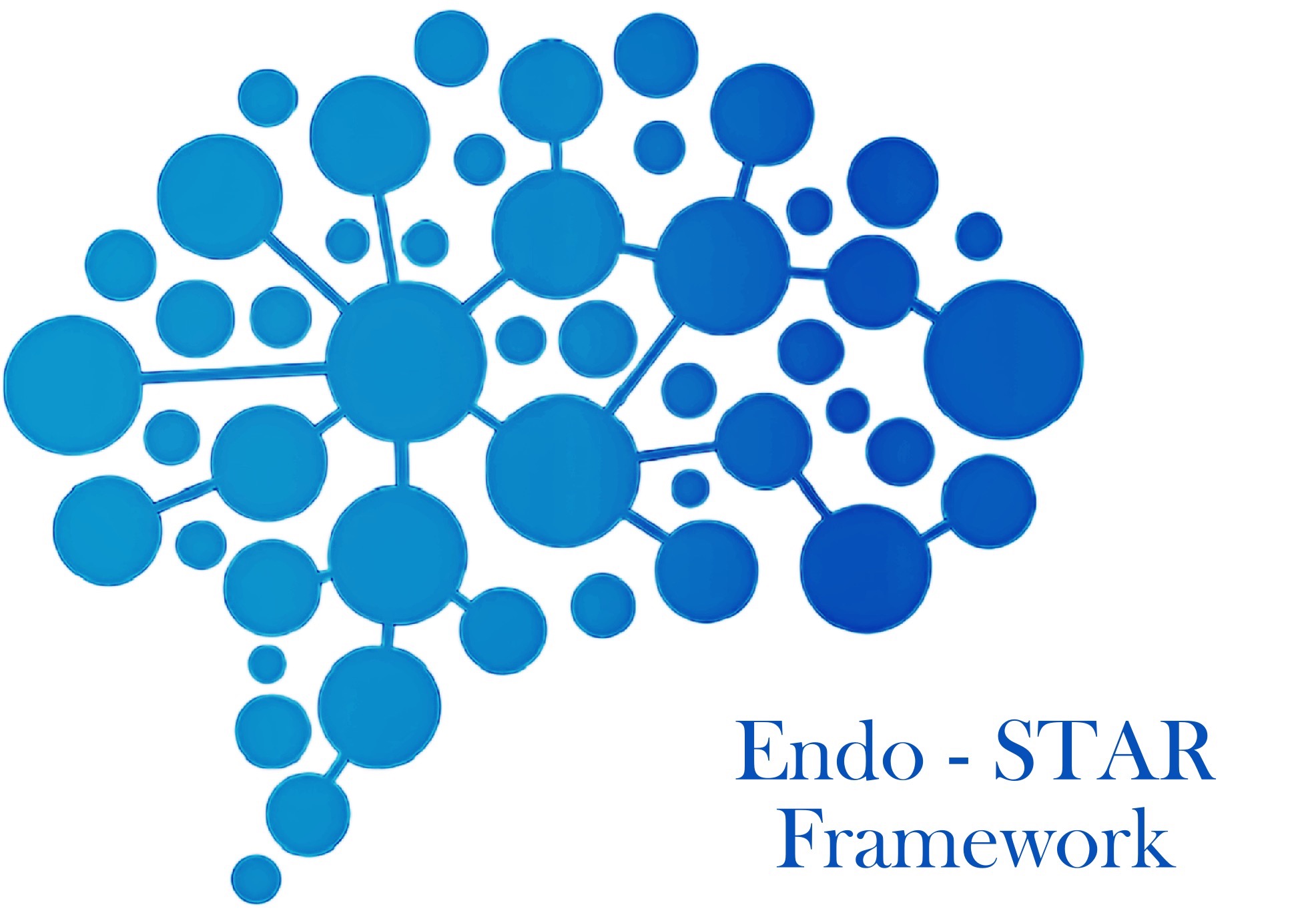 Endovascular Interventions Frameworks